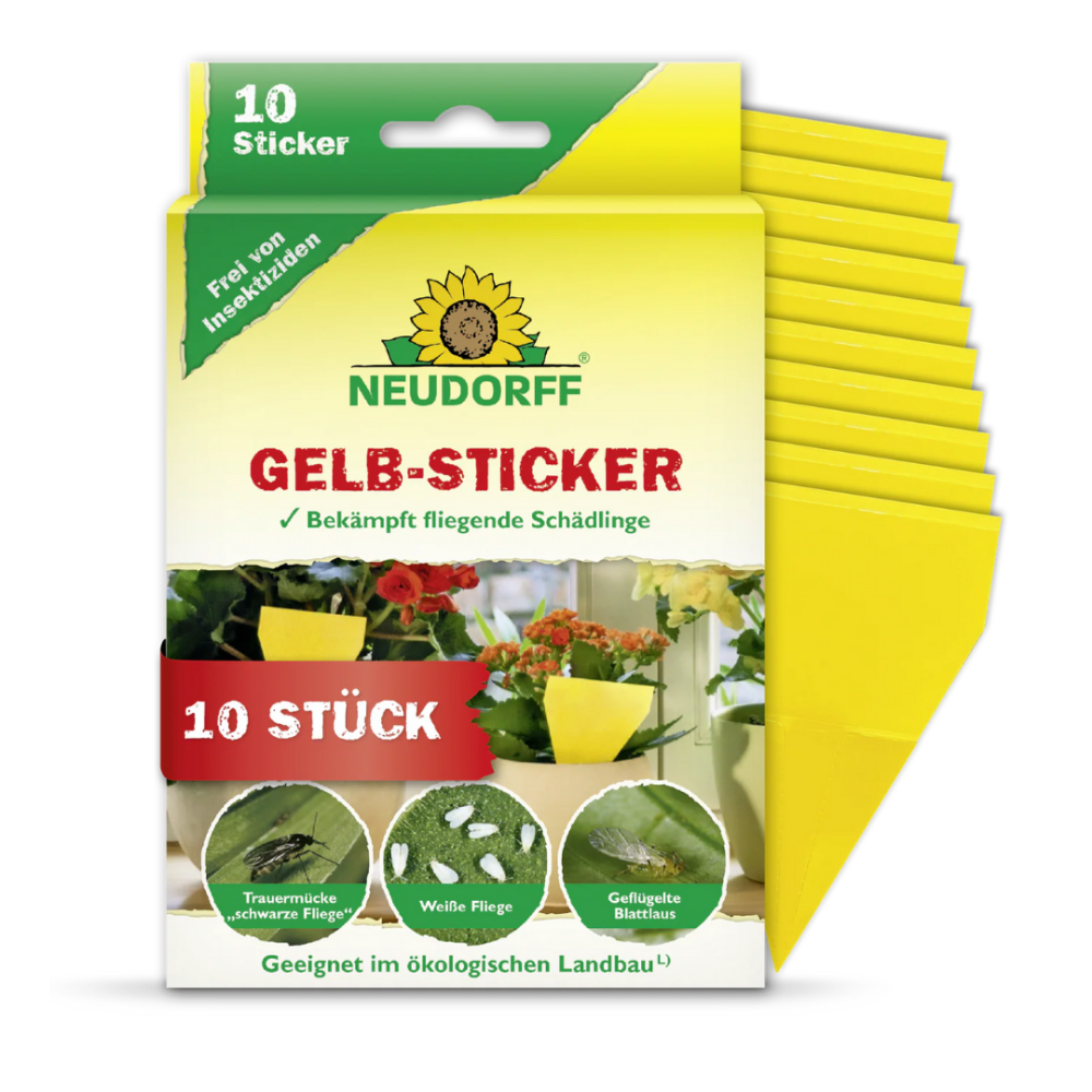 Gelb Sticker Rossmann